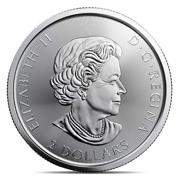 1/2 Oz RCM Birds of Prey - Red Tailed Hawk Coins - Money Metals