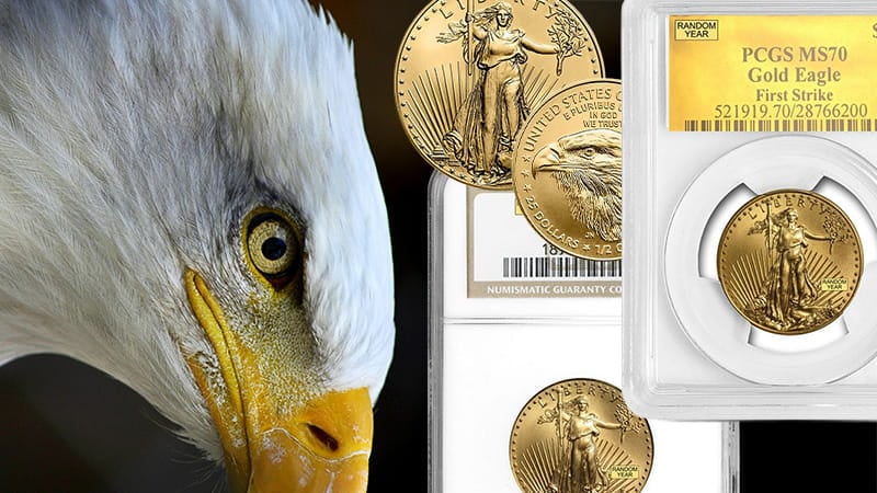 1/2 oz Gold Eagle Coins at Money Metals
